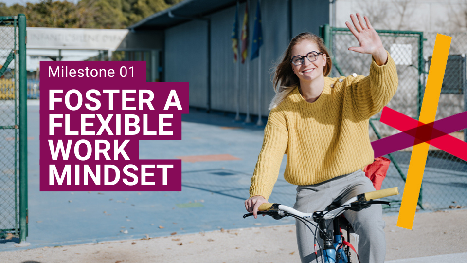 Time Navigator Meilenstein 1 - Flexibilität | SD Worx